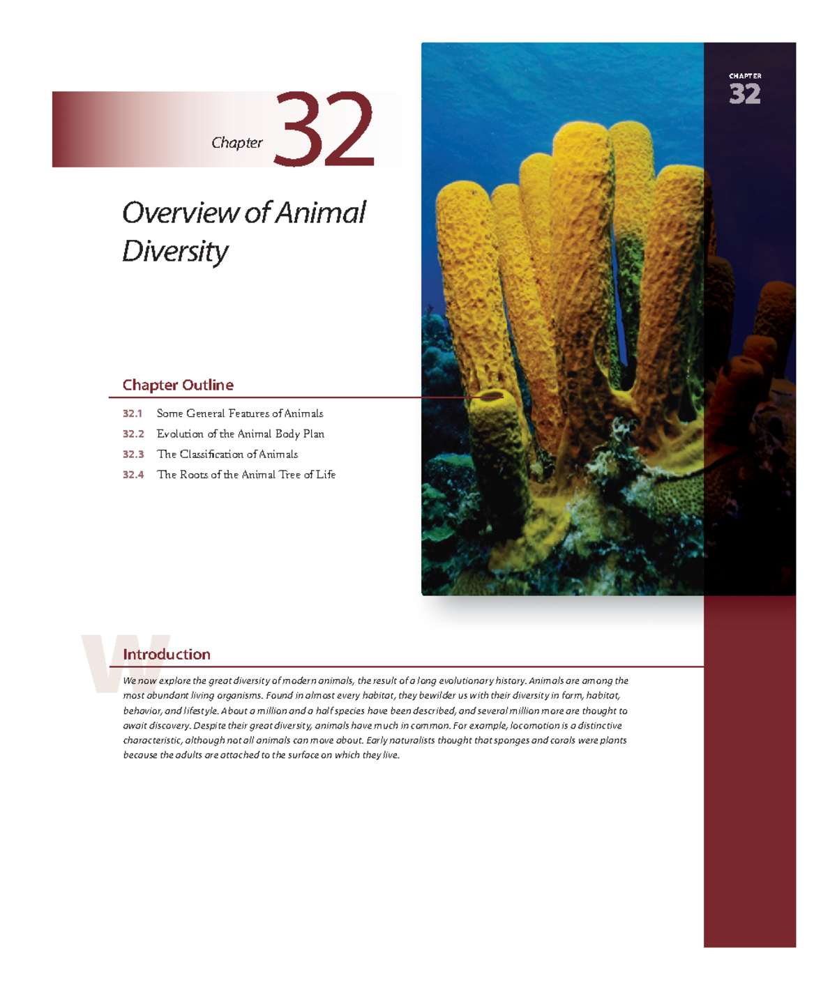 Overview Animal Diversity Raven ( diversidade animal) - W Chapter 32 ...