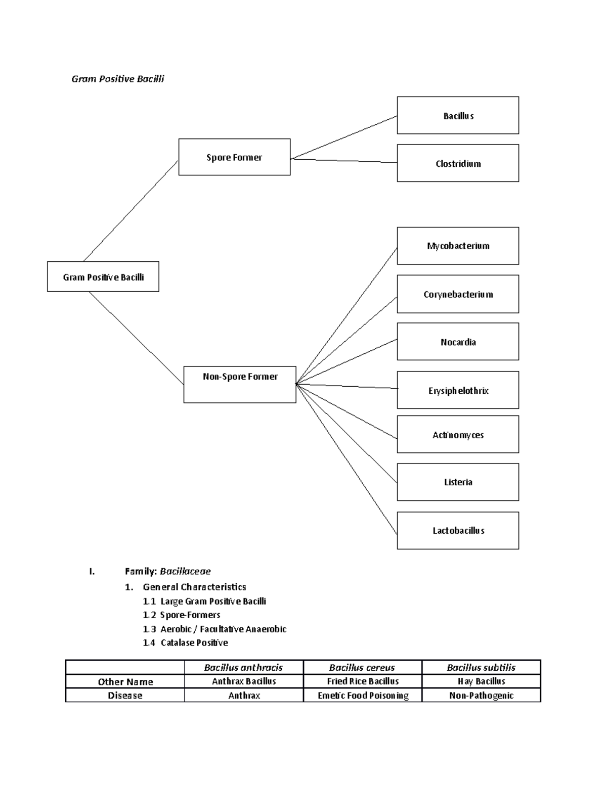 Gram Positive Bacilli - Family: Bacillaceae 1. General Characteristics ...