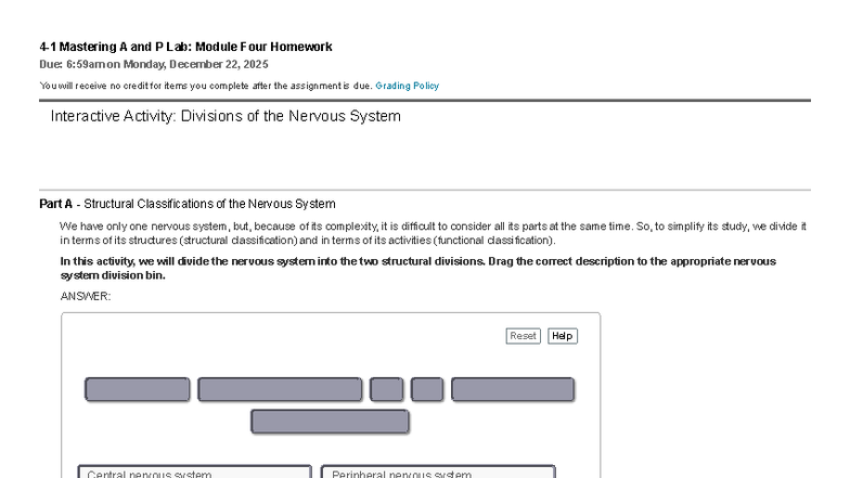 Mastering A&P Lab: Module 4 Homework Assignment Details - Studocu