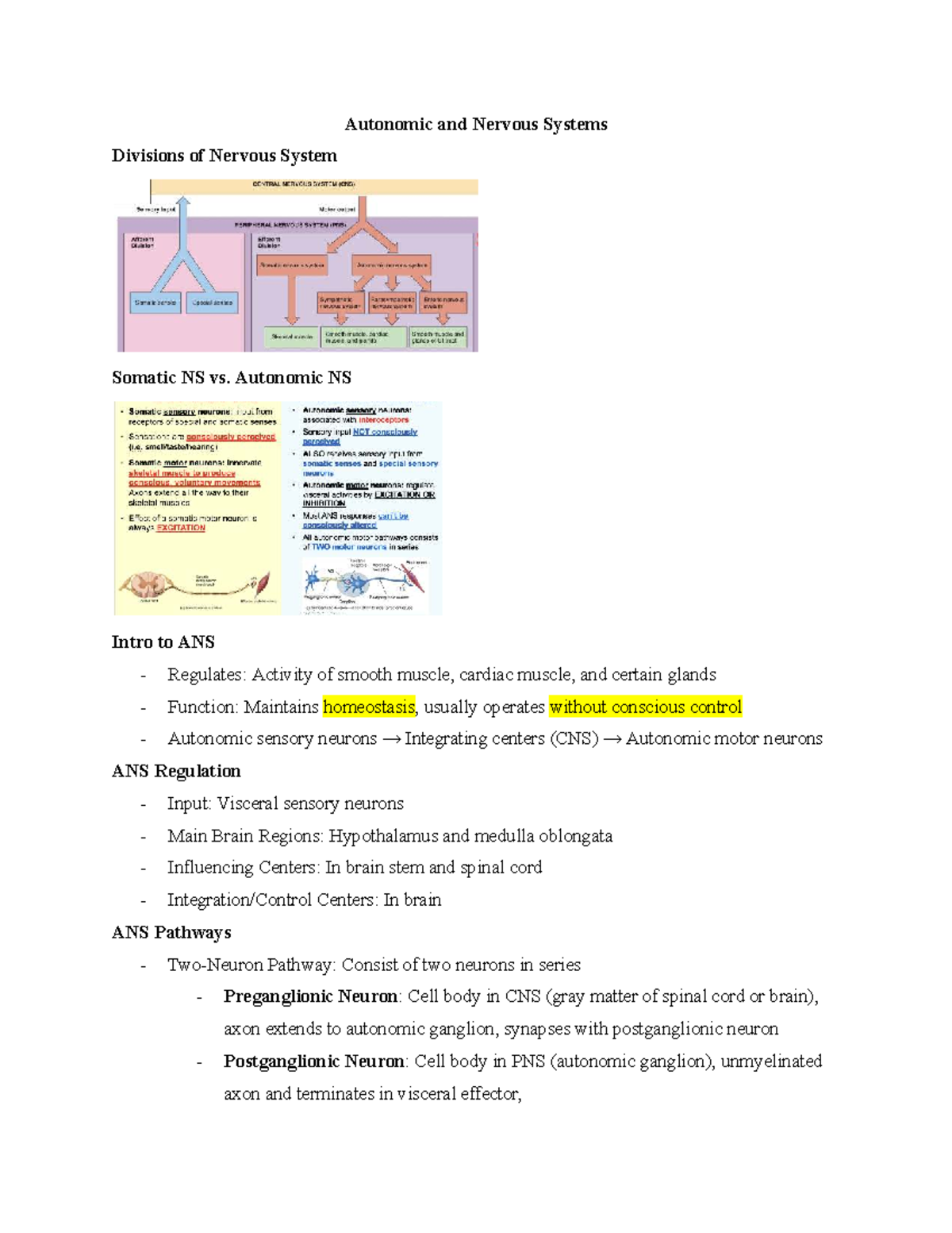 Autonomic and Nervous Systems Overview - ANS Exam 2 Study Notes - Studocu