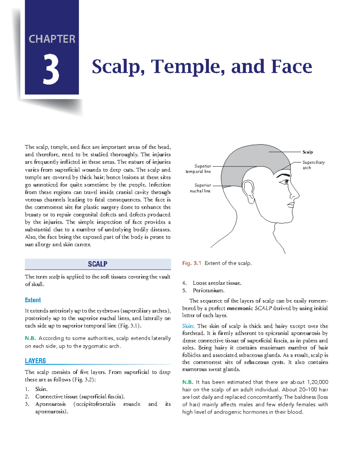 Anatomical Study of Scalp and Face in Head Anatomy - Key Features - Studocu
