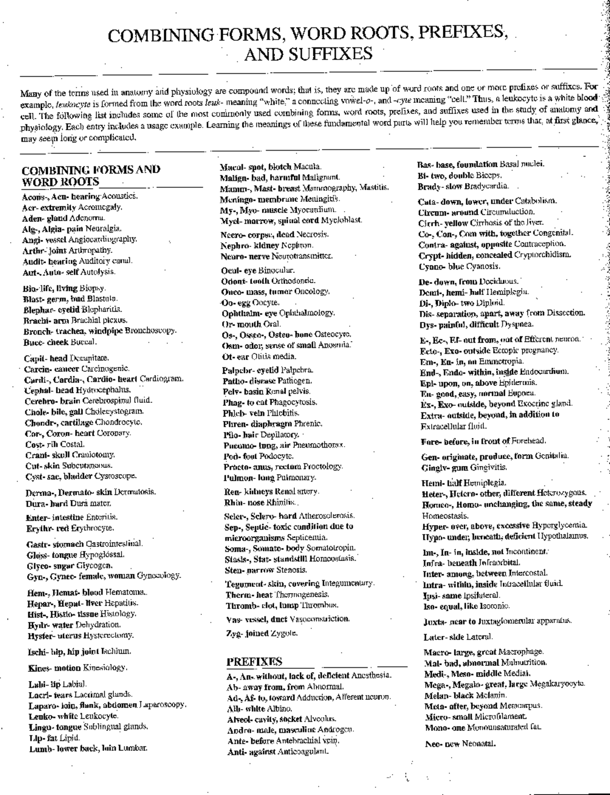 Anatomy & Physiology Word Parts: Combining Forms, Roots, Prefixes ...