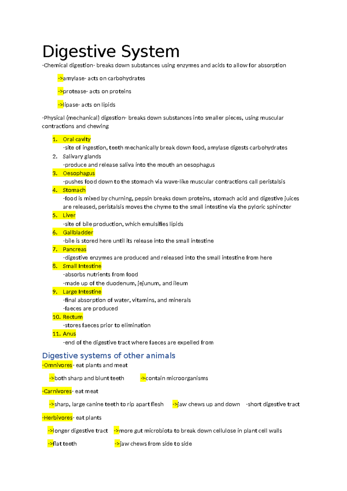 Digestive System Overview - VCE Biology Unit 1 Comprehensive Notes ...