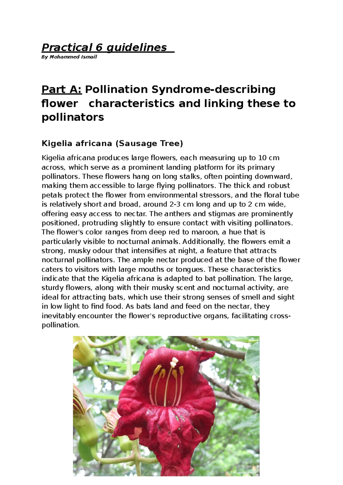 AR - Haar uitvaart: 'n Analise van PJ Philander se gedig - Studocu