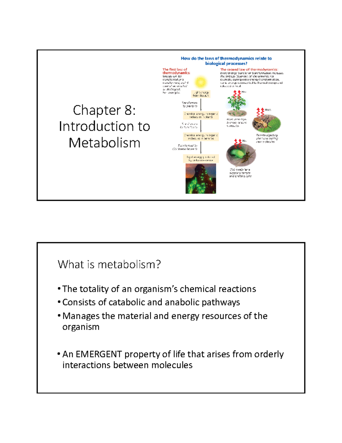 Chapter 8: Metabolism Fundamentals in Bio 1306 - Studocu
