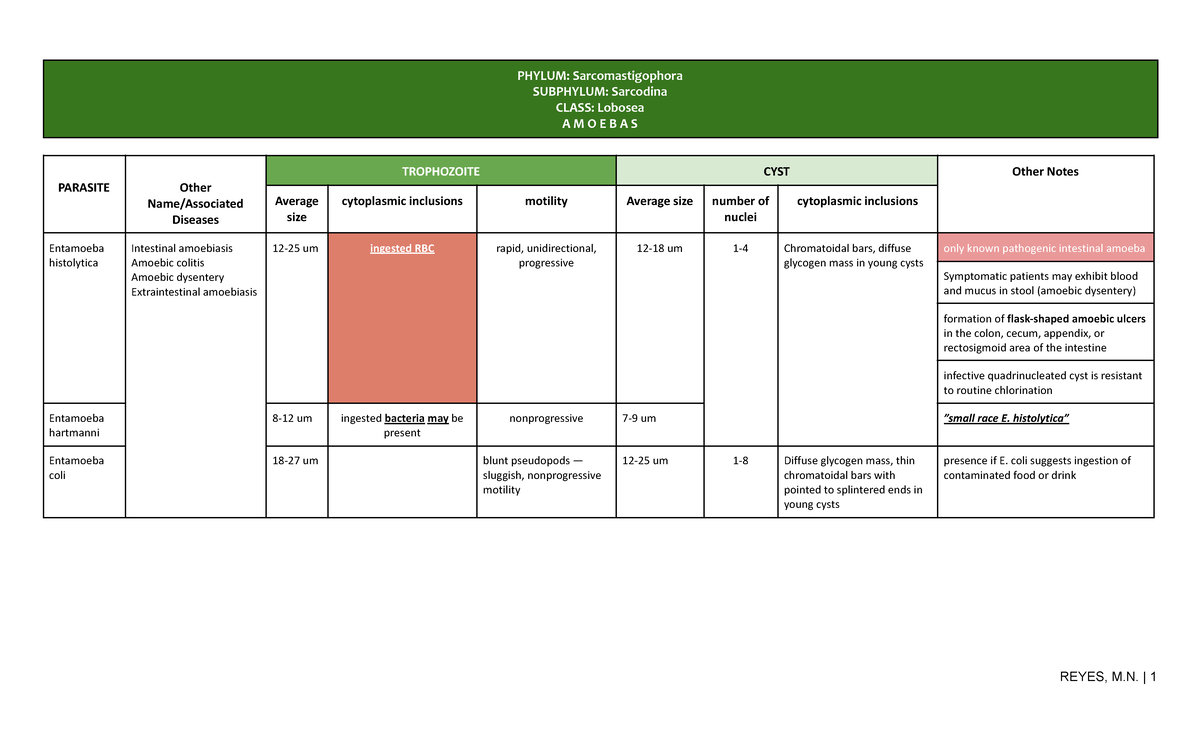 Parasitology Notes - PHYLUM: Sarcomastigophora SUBPHYLUM: Sarcodina ...