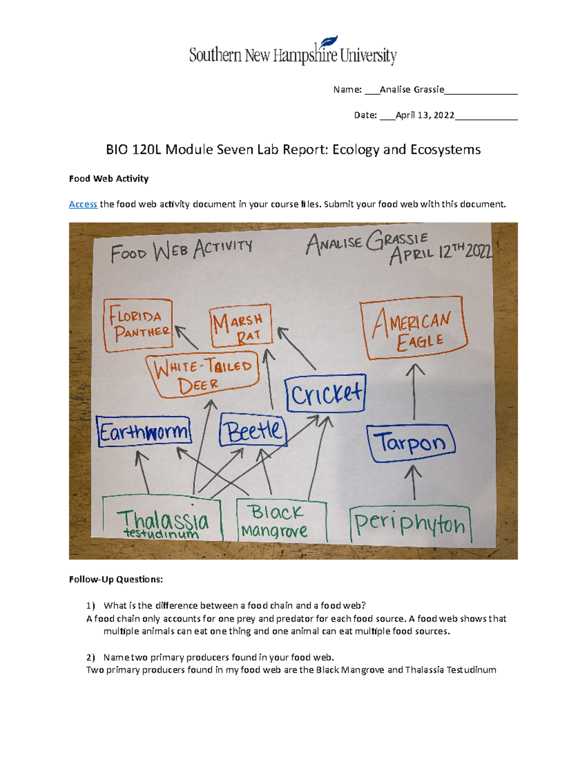 BIO 120L M7 Food Web Activity Lab Report and Analysis - Studocu