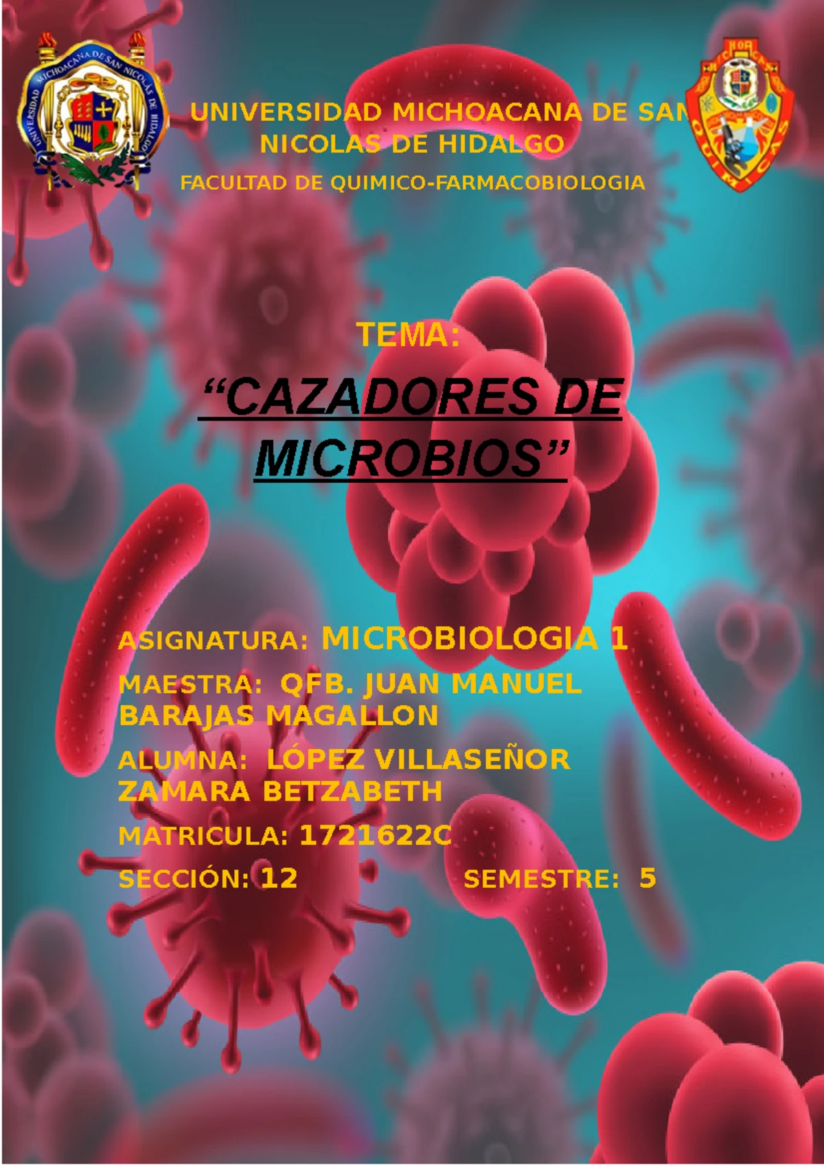 Apuntes de Microbiología: Morfología Colonial y Microscópica Bacteriana ...