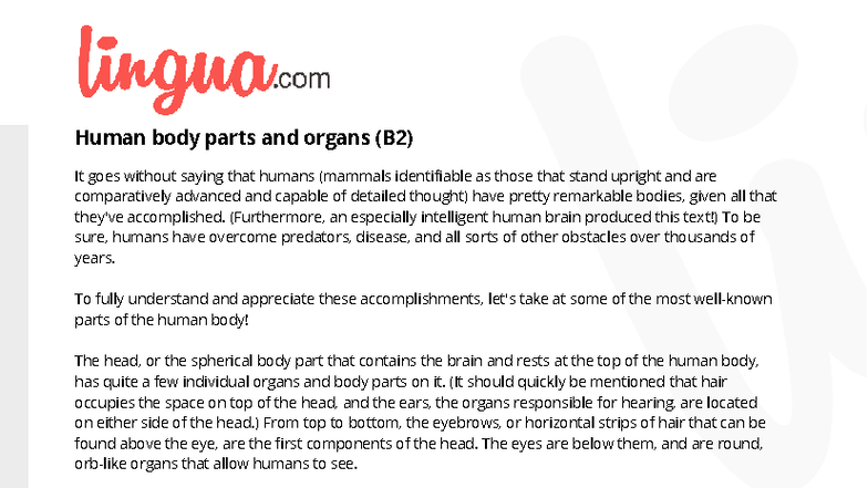 Human Body Parts and Organs Overview (B2) - Studocu
