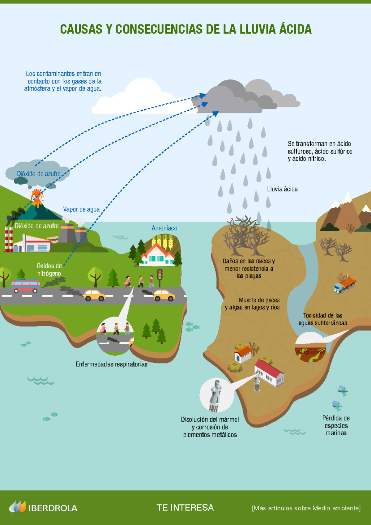 Infografia causas consecuencias lluvia acida - CAUSAS Y CONSECUENCIAS ...