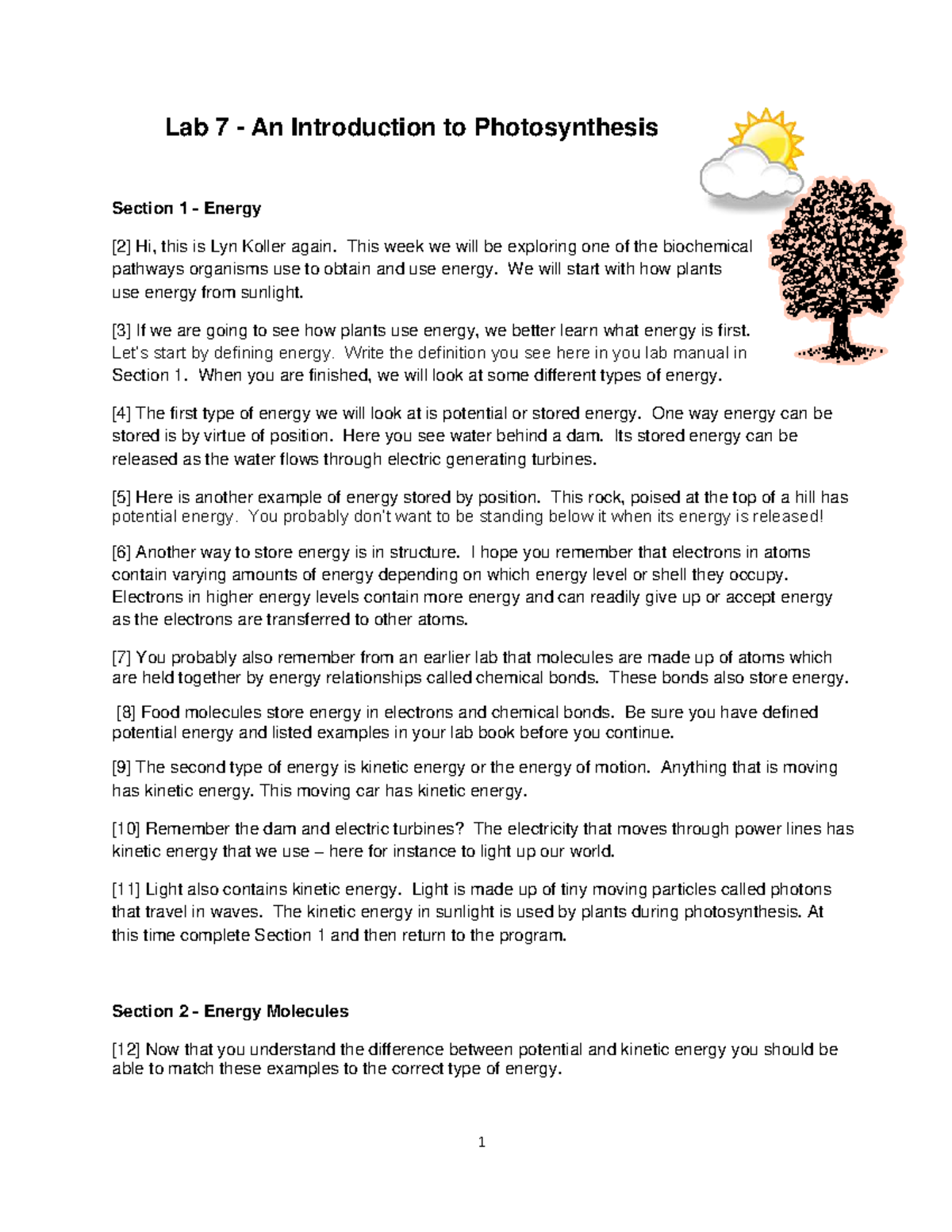 Lab 7: Exploring Photosynthesis Mechanisms and Energy Transformations ...