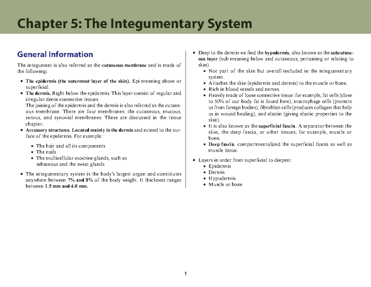 Chapter 5: The Integumentary System Overview & Functions - Studocu