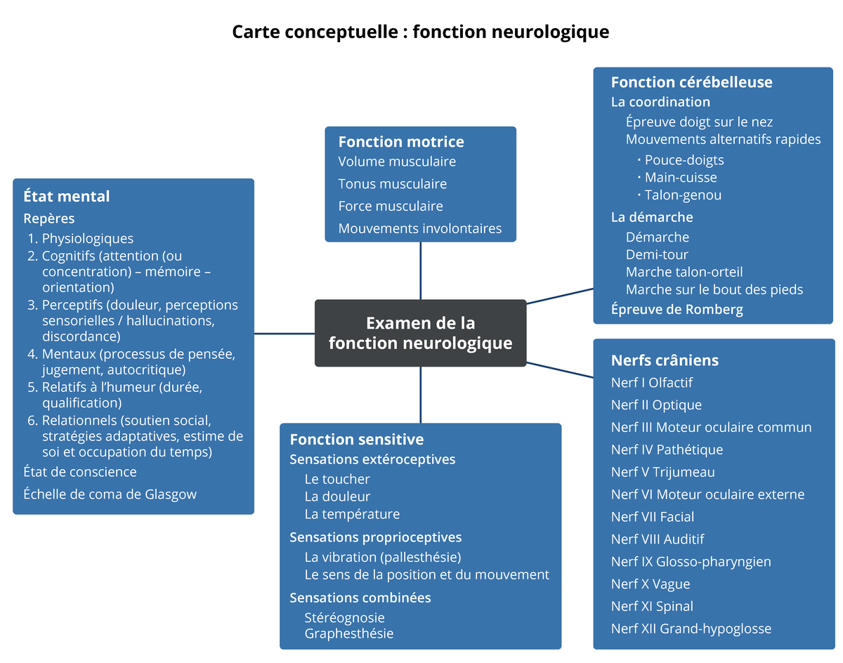 Carte Conceptuelle : Fonction Neurologique SOI1038 - Studocu