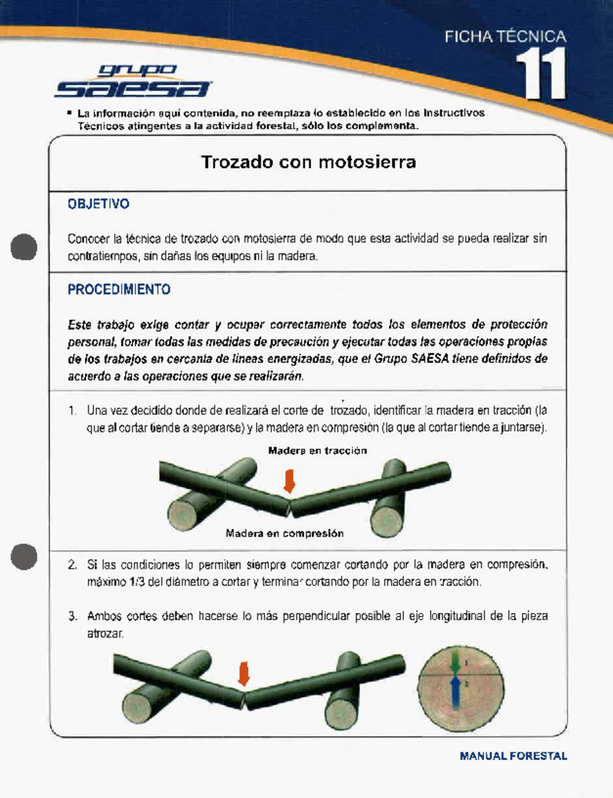 FICHA TÉCNICA: Trozado con Motosierra - Grupo SAESA 11 - Studocu