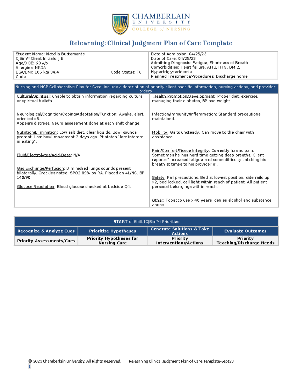 CJSim™ Clinical Judgment Plan of Care Template - September 2023 - Studocu
