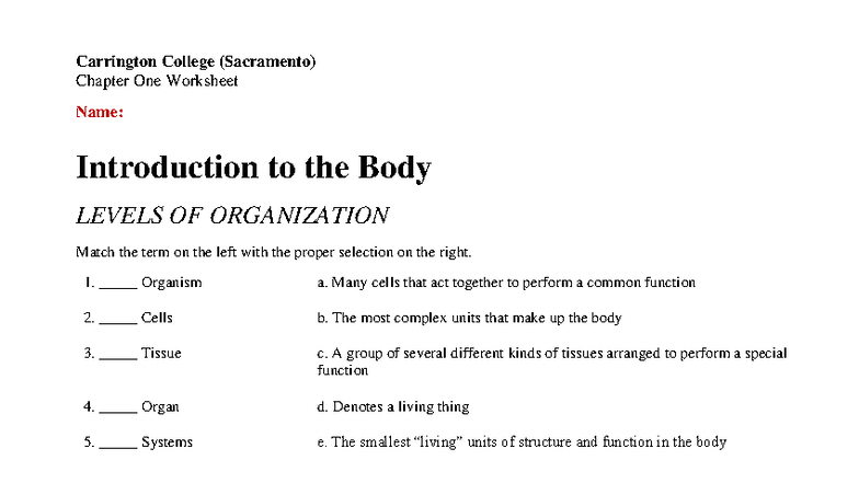 VN 101 - Chapter 1 Worksheet: Introduction to Body Organization - Studocu
