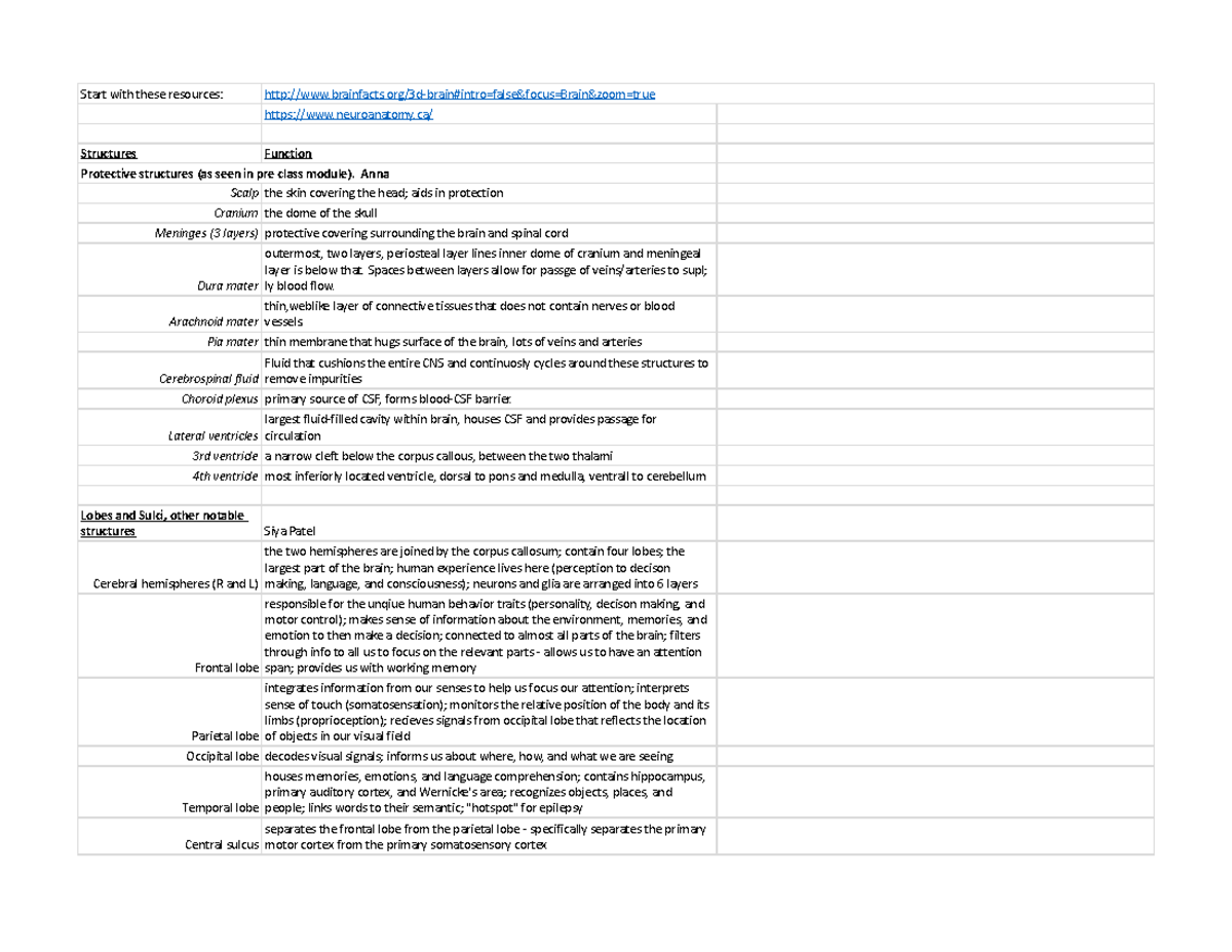 Neuroanatomy Concepts and Structures Overview (2023) - Key Resources - Studocu