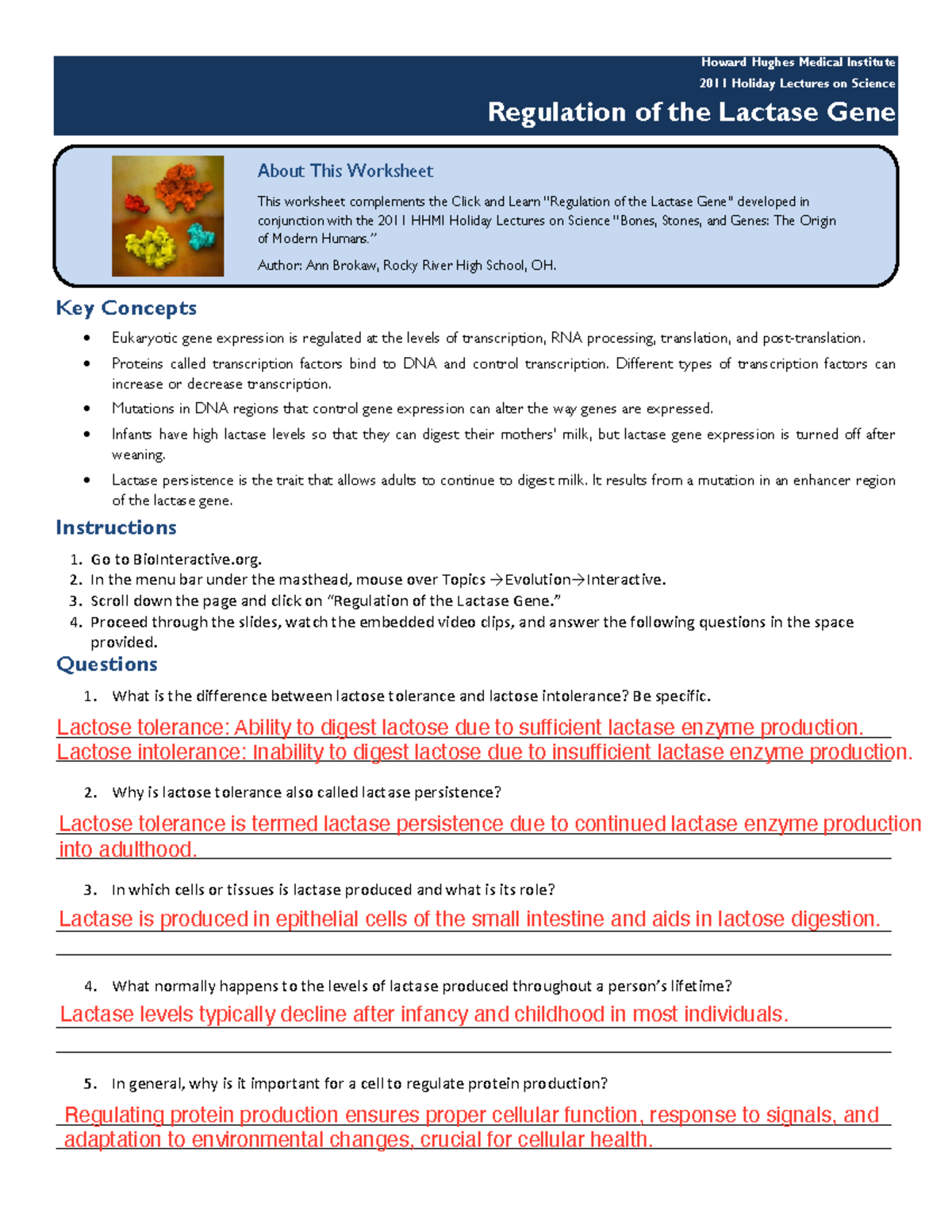 Regulation of Lactase Gene - Click & Learn Worksheet (HHMI 2011) - Studocu