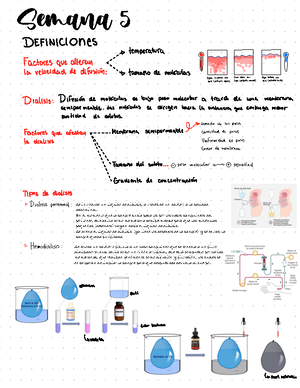 Anatomía Final - Anato apuntes - Semana 9 tricíngulos : 1 A ...