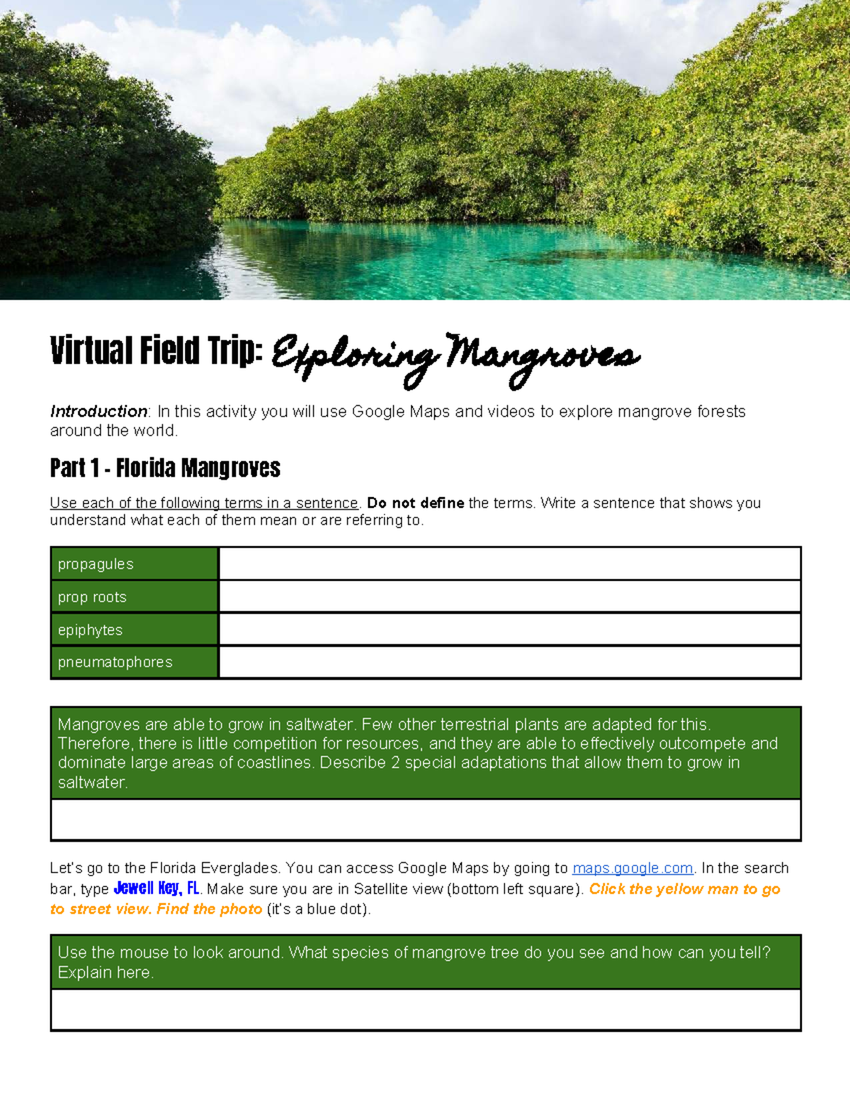 Mangroves Virtual Field Trip: Exploring Coastal Ecosystems - Studocu