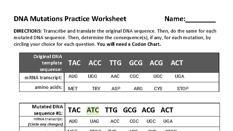 DNA Mutations Practice Worksheet: Analyzing Effects on Protein Sequence ...