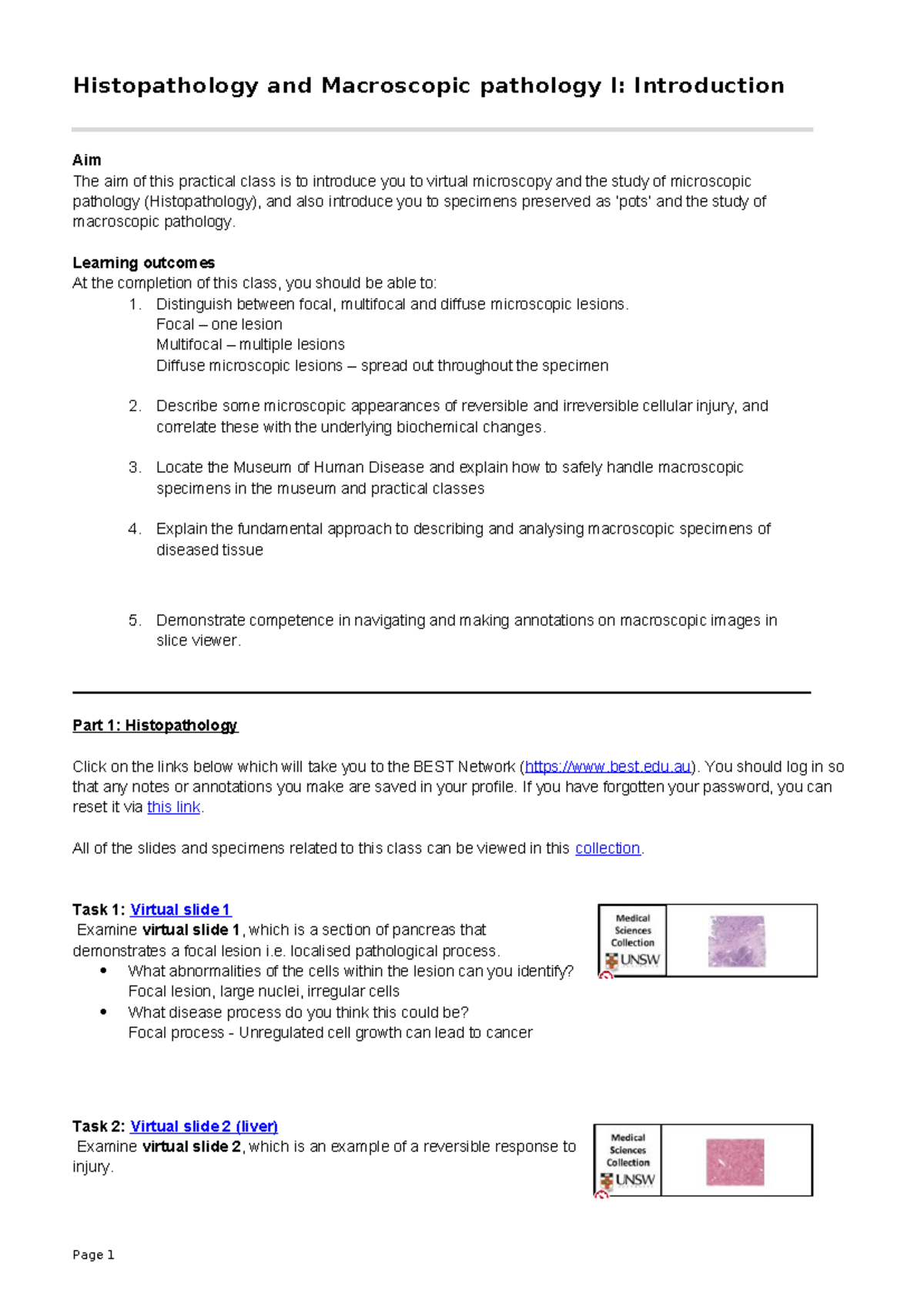 Histology and Macroscopic Pathology 1 - Histopathology and Macroscopic ...