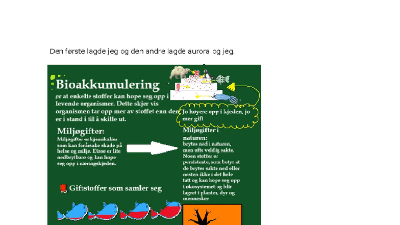 Plakater - ja ja - Den første lagde jeg og den andre lagde aurora og jeg. - Studocu