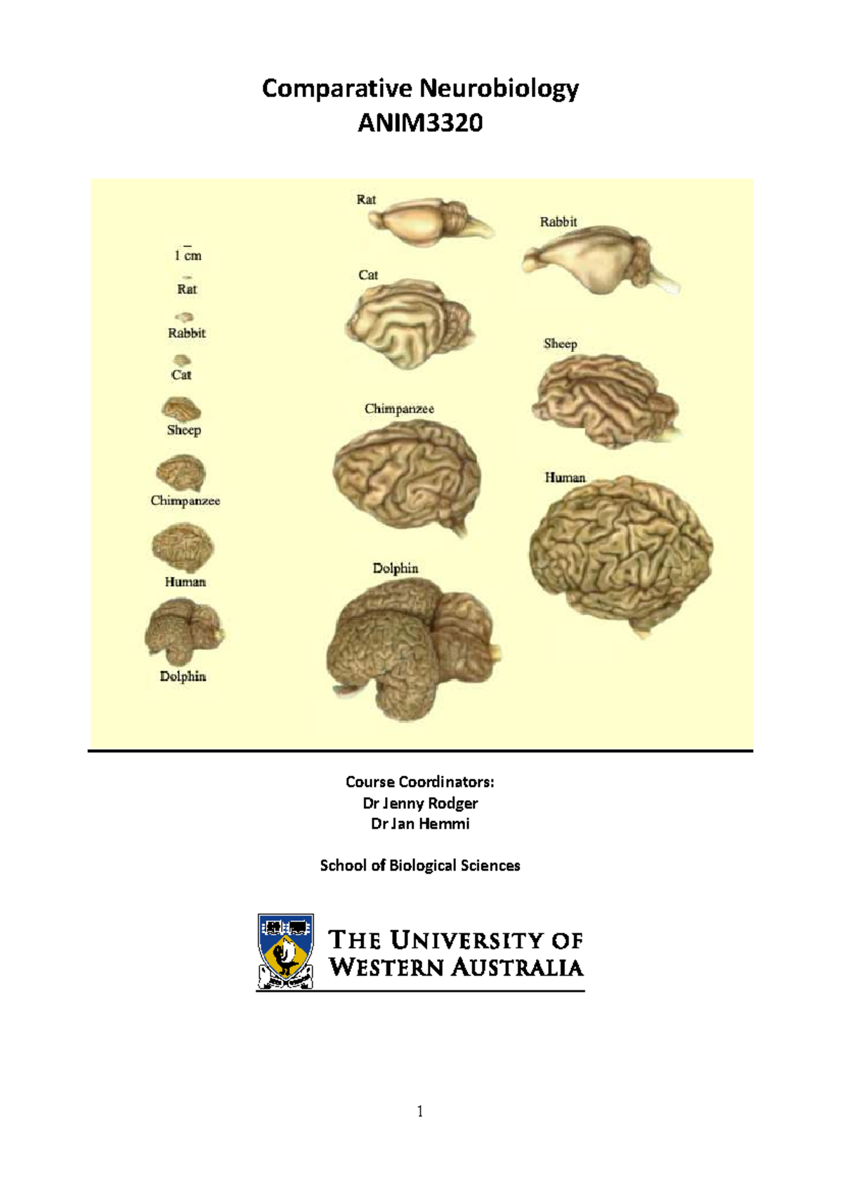 ANIM3320 Comparative Neurobiology Handbook 2024 - Studocu