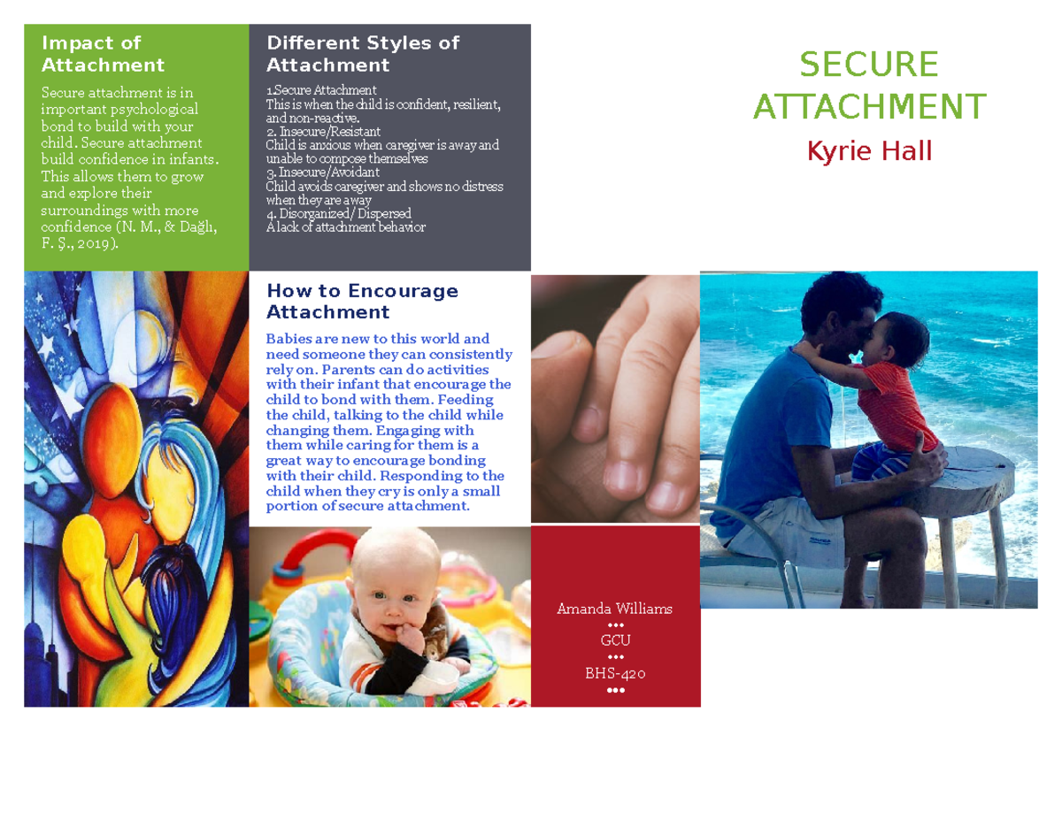 BHS- Secure Attachment Handout & Development Overview Assignment - Studocu