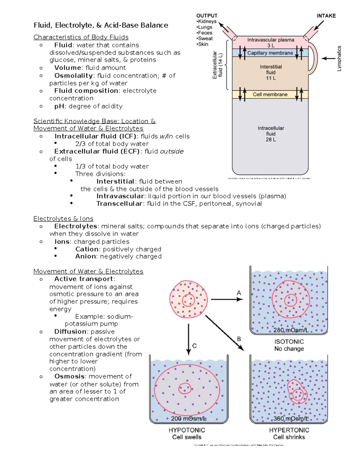 Chapter 38 - Practice test - Chapter 38. Fluids, Electrolytes, & Acid ...