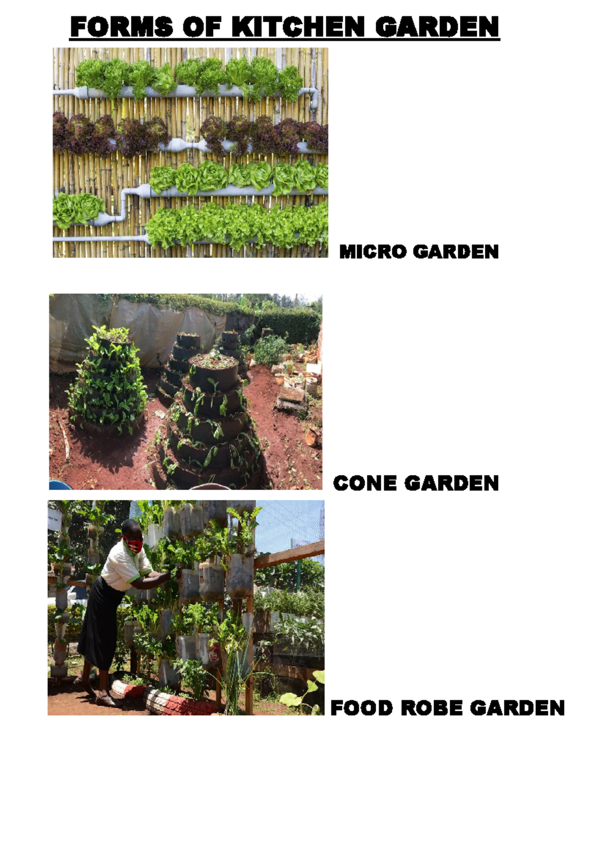 Forms OF Kitchen Garden - industrial geography - FORMS OF KITCHEN ...