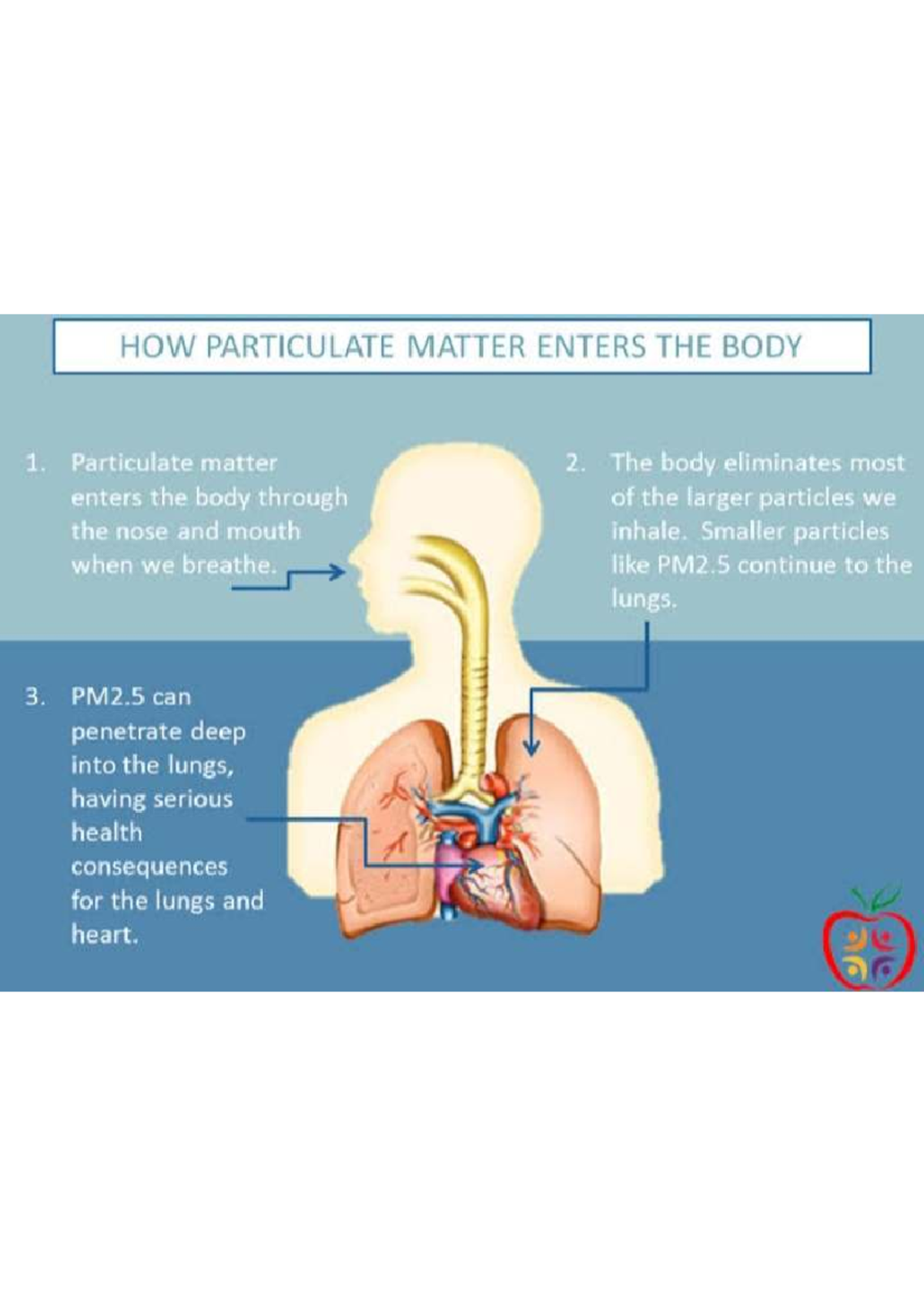 Image to pdf 04062023 101217 - History - HOW PARTICULATE MATTER ENTERS ...