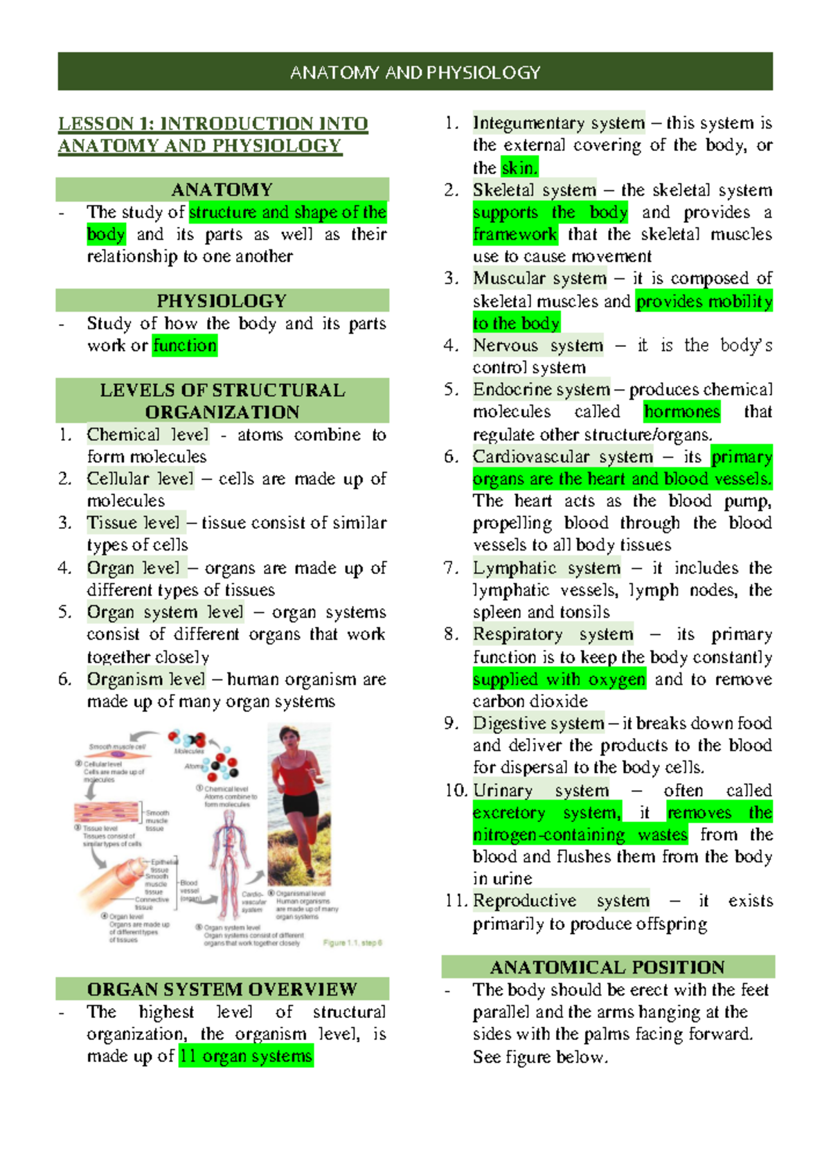 Anaphy- Prelims - LESSON 1: INTRODUCTION INTO ANATOMY AND PHYSIOLOGY ...