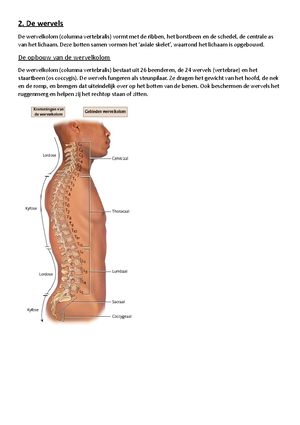[Solved] wat is het periost van het beenweefsel - Anatomie en ...