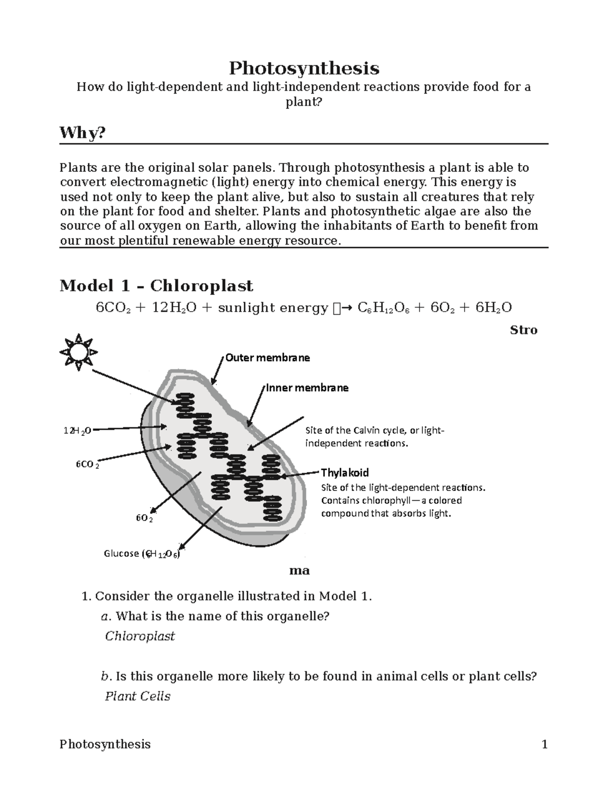 Unit 3 POGIL: Understanding Photosynthesis in Biology - Studocu