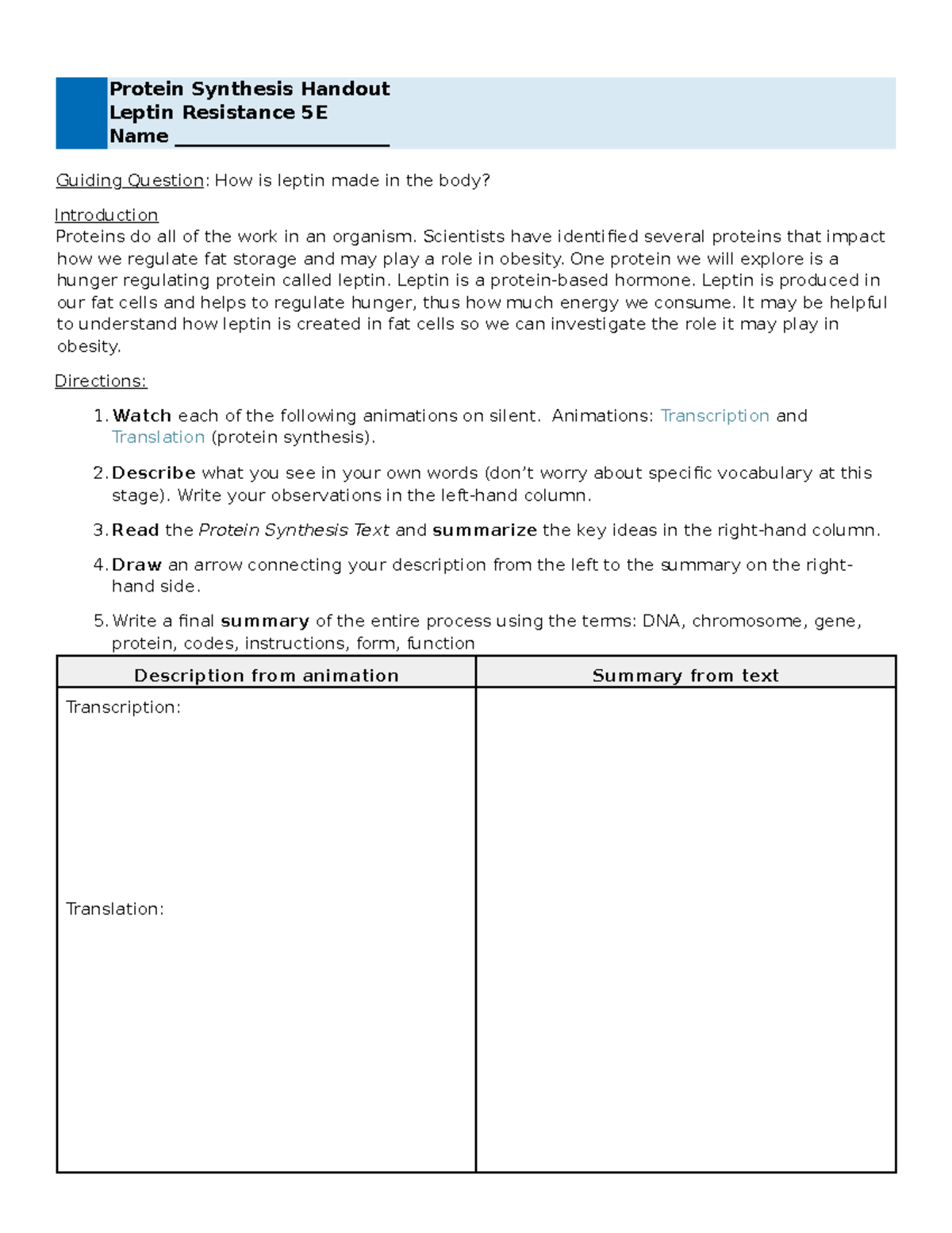 Protein synthesis handout: Understanding leptin production in obesity ...