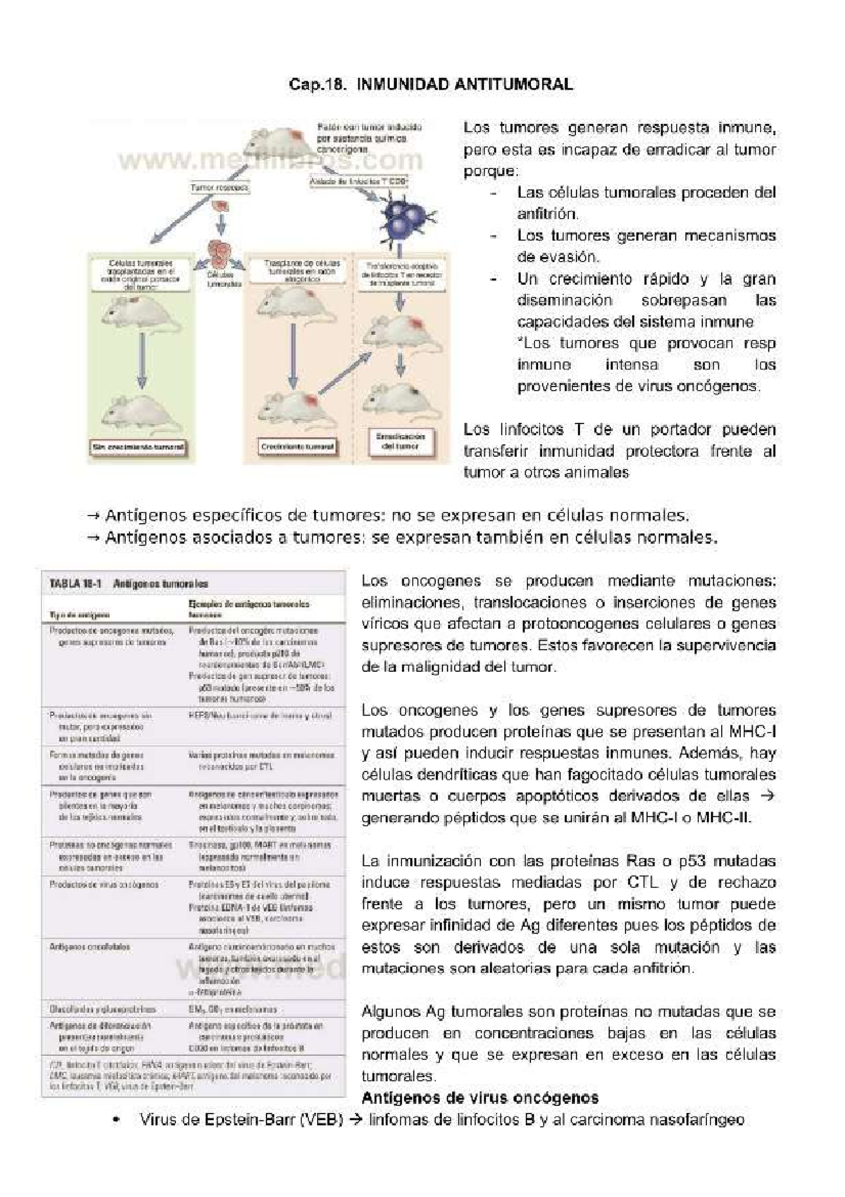 Cap. 18: Inmunidad Antitumoral y Respuesta Inmune frente a Tumores ...