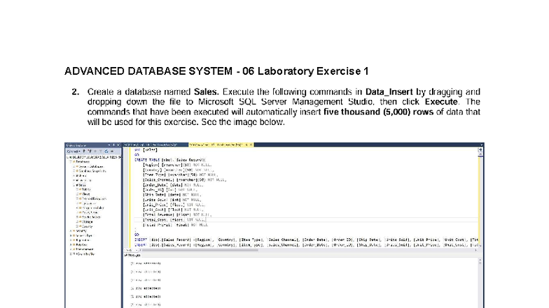 ADVANCED DATABASE SYSTEM 06 Lab Exercise: Sales Database Creation and ...