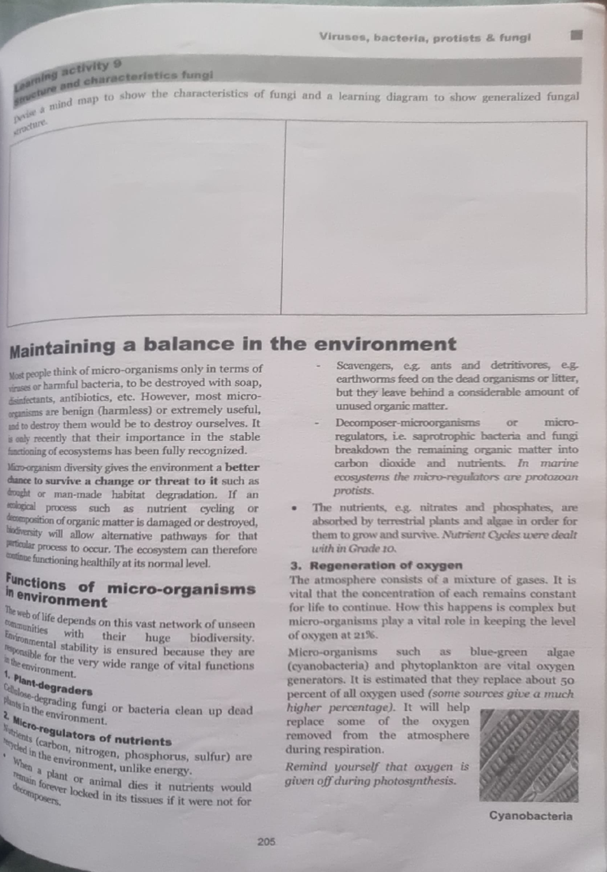 Document Review and Analysis Guidelines for Course Code XX123: Fungi ...