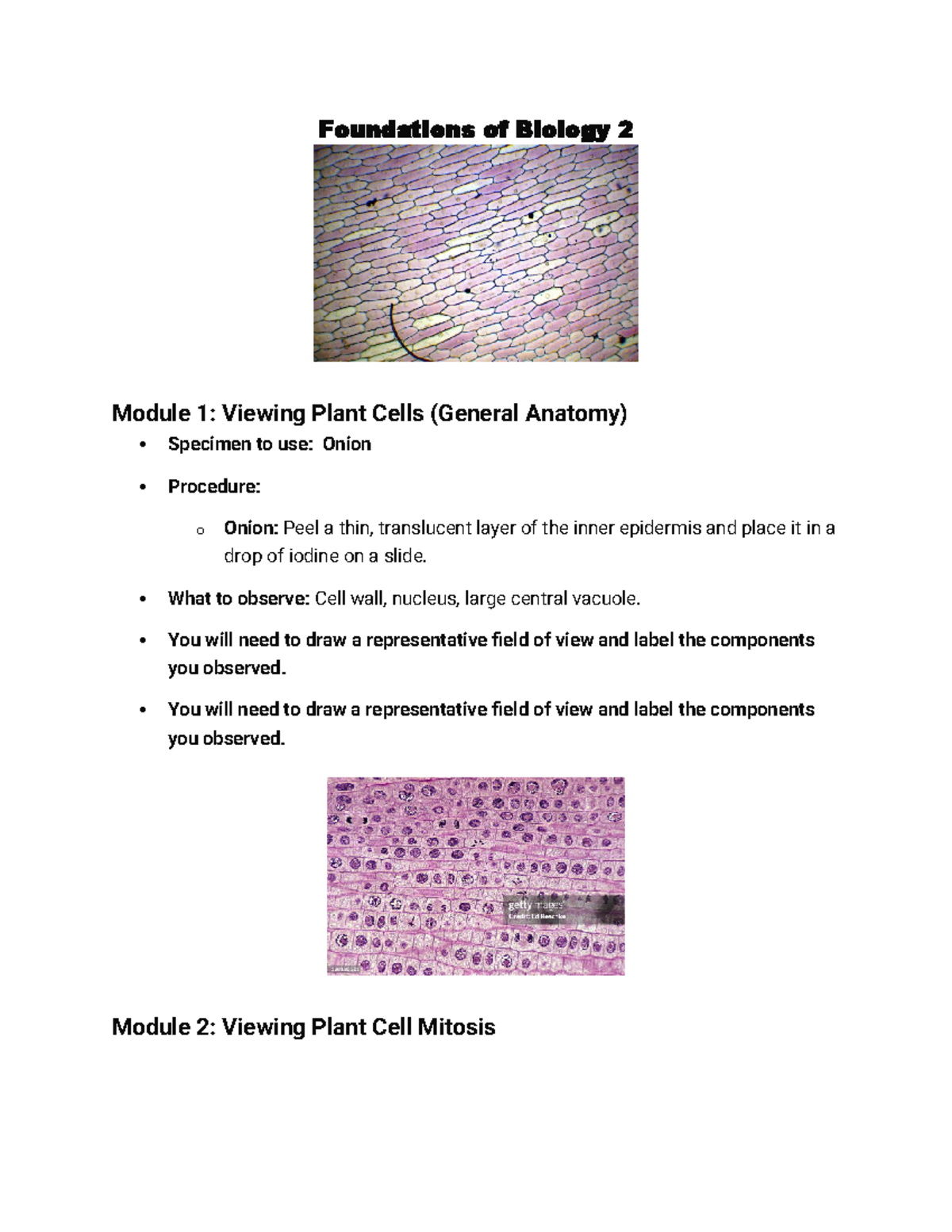 Foundations of Biology 2: Botany Lab Modules on Plant Cells - Studocu