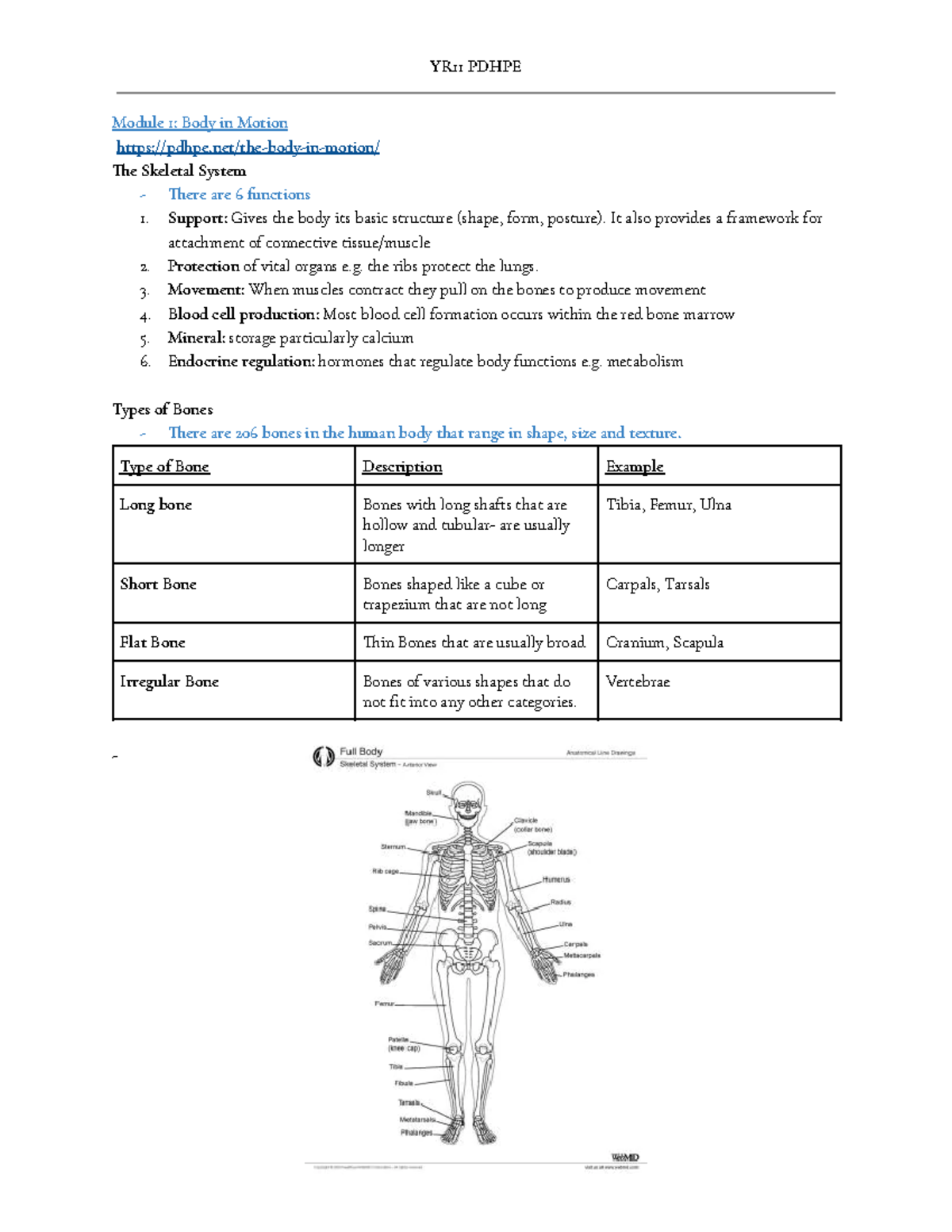 Yr 11 PDHPE Module 1: Understanding the Body in Motion - Studocu