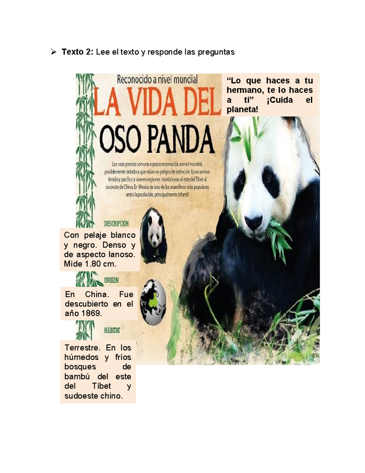 Guía de Lenguaje: Oso Panda - Texto 2 y Preguntas - Studocu