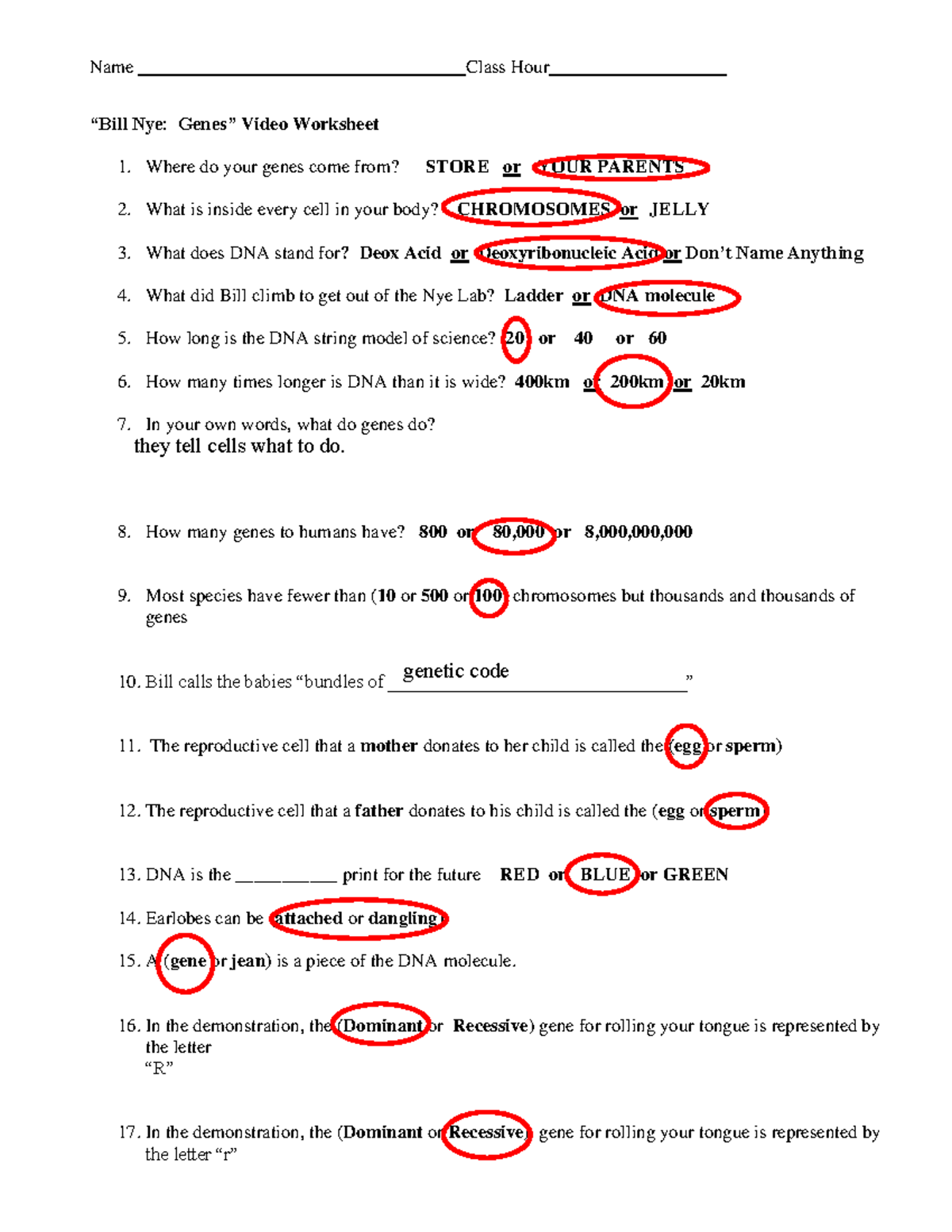 Bill Nye: Genes Video Worksheet for Biology Class - Studocu