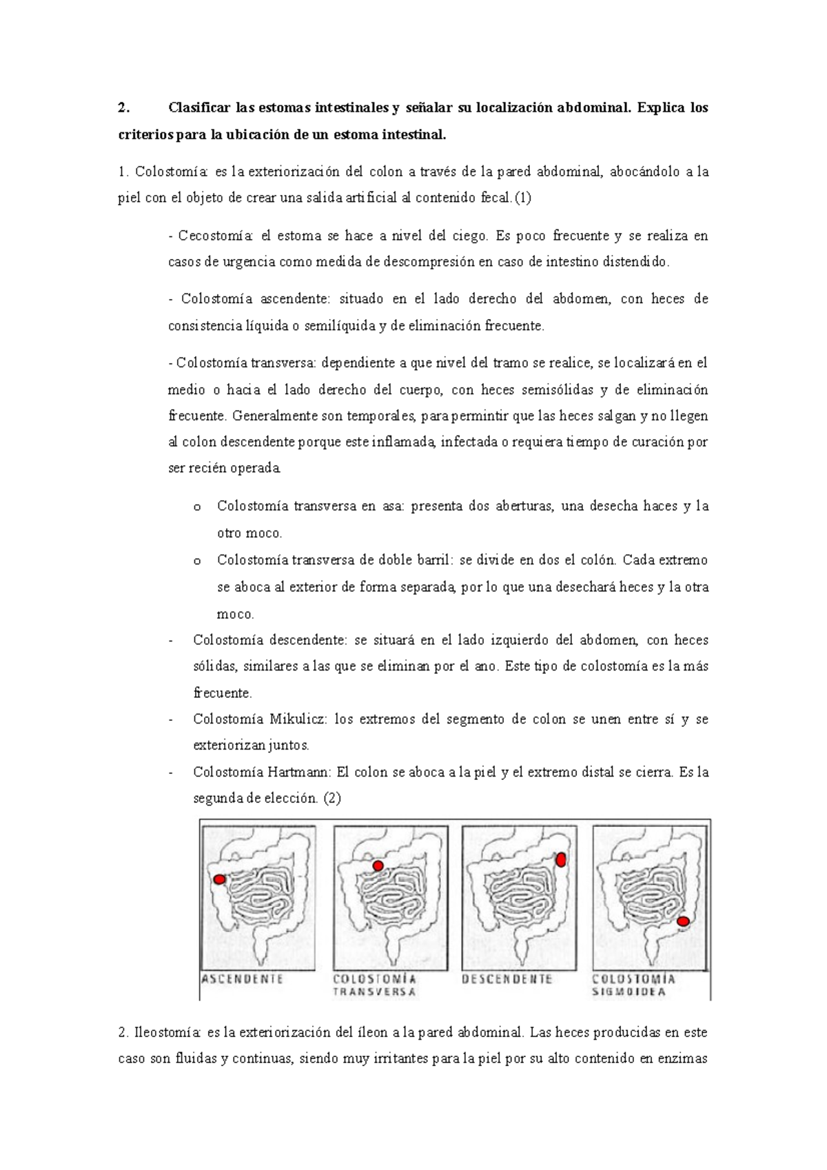 Clasificación y Ubicación de Estomas Intestinales: Guía Completa - Studocu