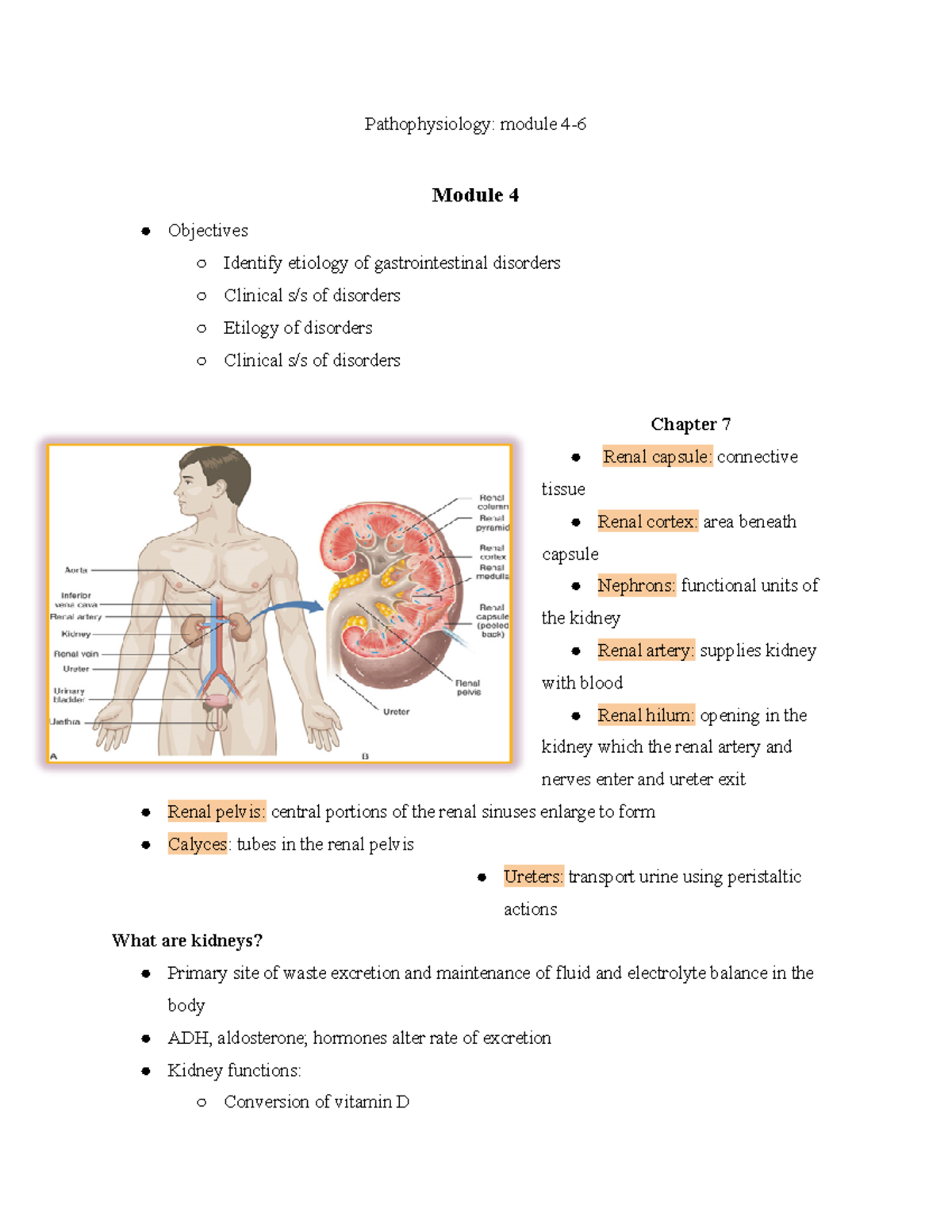 Pathophysiology module 4-6 - Pathophysiology: module 4- Module 4 ...