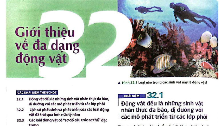 CACKHAINIEM THEN CHOT: Giới thiệu về Đa dạng Động vật 32. - Studocu
