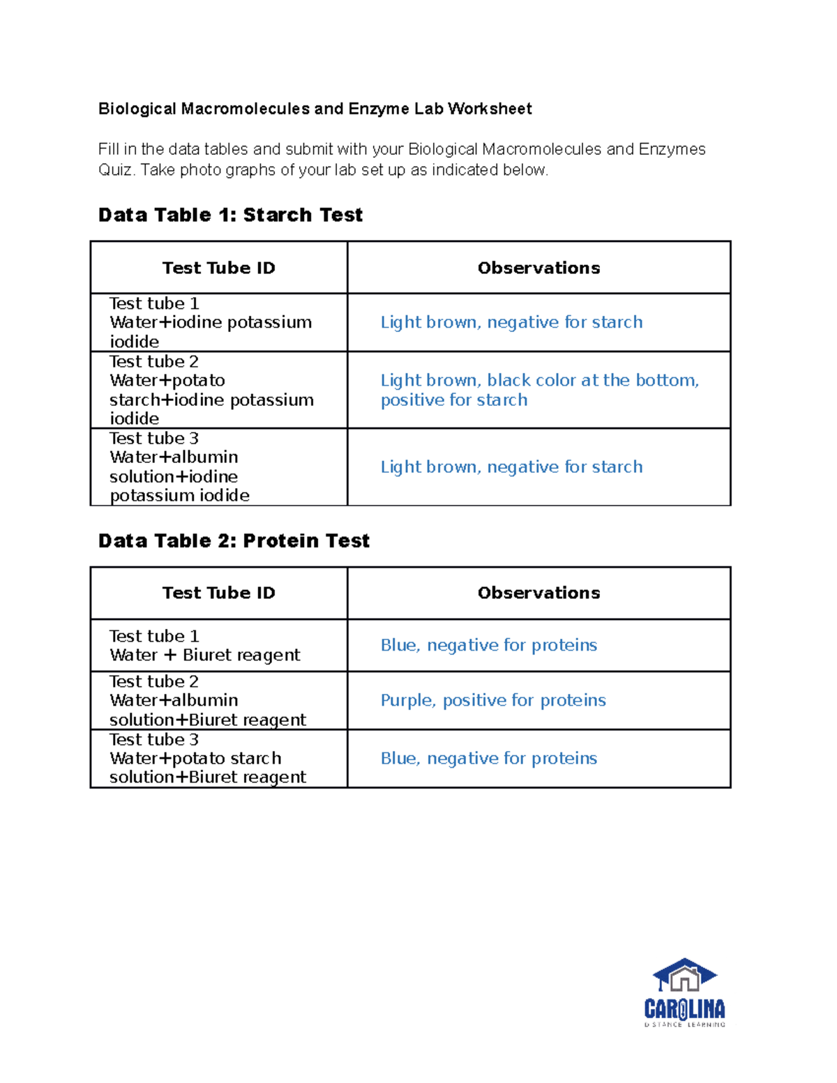 Biological Macromolecules and Enzymes Quiz Lab Worksheet - Fall 2021 ...