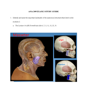 Comprehensive Overview of Cranial Nerves: Anatomy & Functions ...
