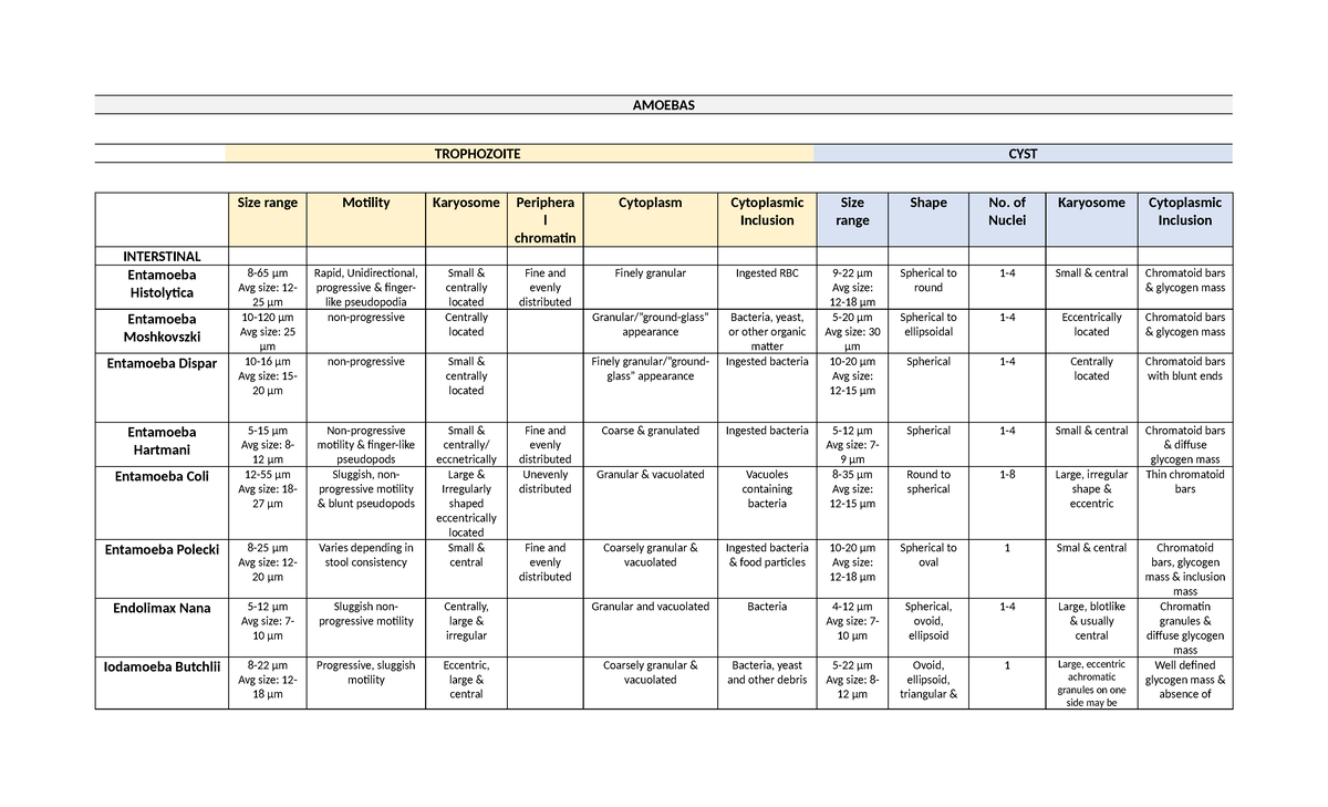 Amoebas - table about amoeba - AMOEBAS TROPHOZOITE CYST Size range ...