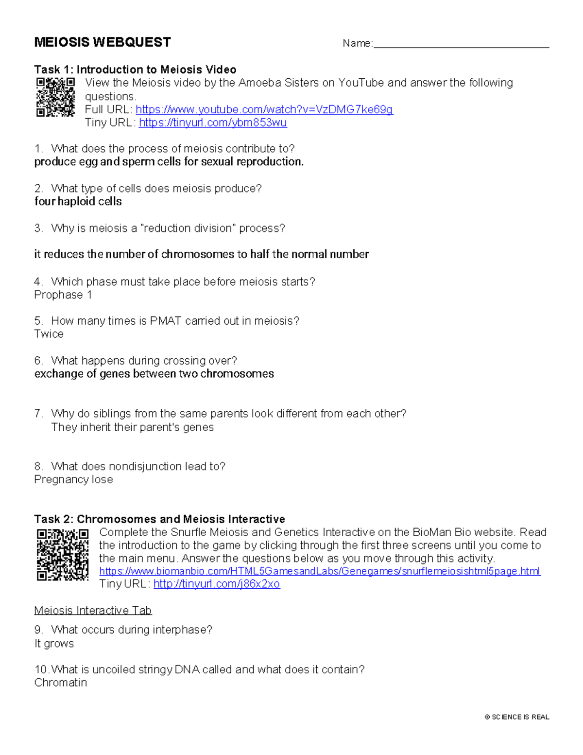 JJ.Maldonado Meiosis Webquest - MEIOSIS WEBQUEST Name: Task 1 ...